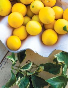 Meyer Lemons: Brighten up the dark months with these California ...