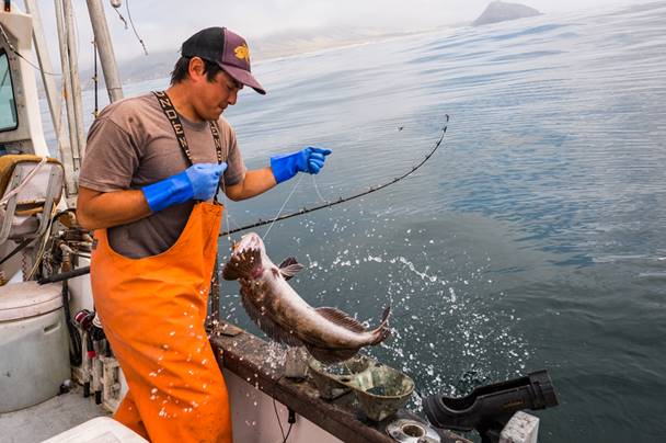 Seafood Watch Expands Mission with New Web Platform - Edible Monterey Bay