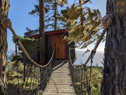 Found Treasures: Treebones Remains a Trip That Keeps Getting Better ...