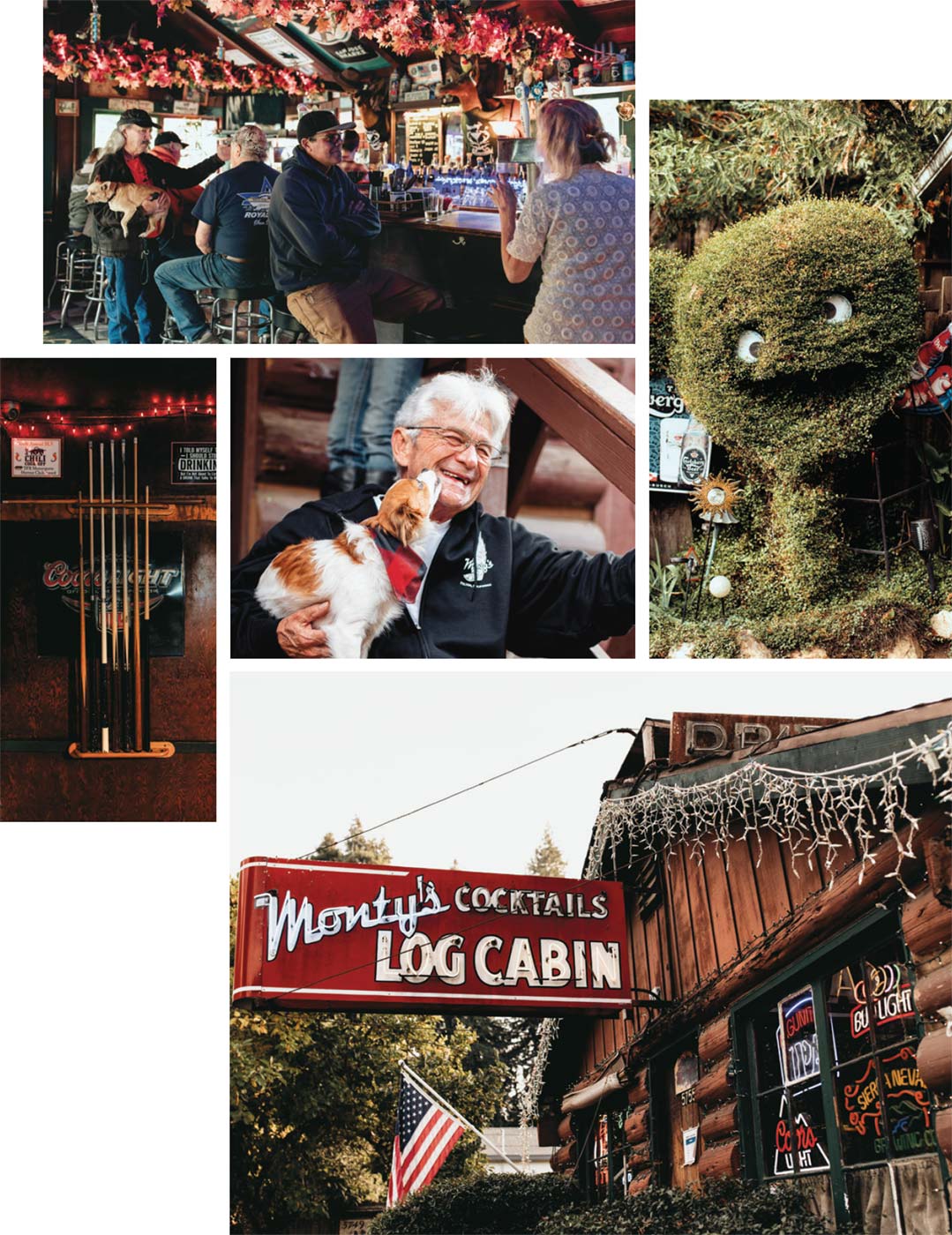 Cabin Fever - Edible Monterey Bay