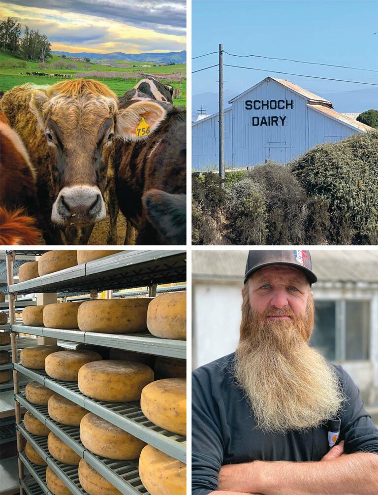 Schoch Dairy: A Portal to a Bygone Era - Edible Monterey Bay