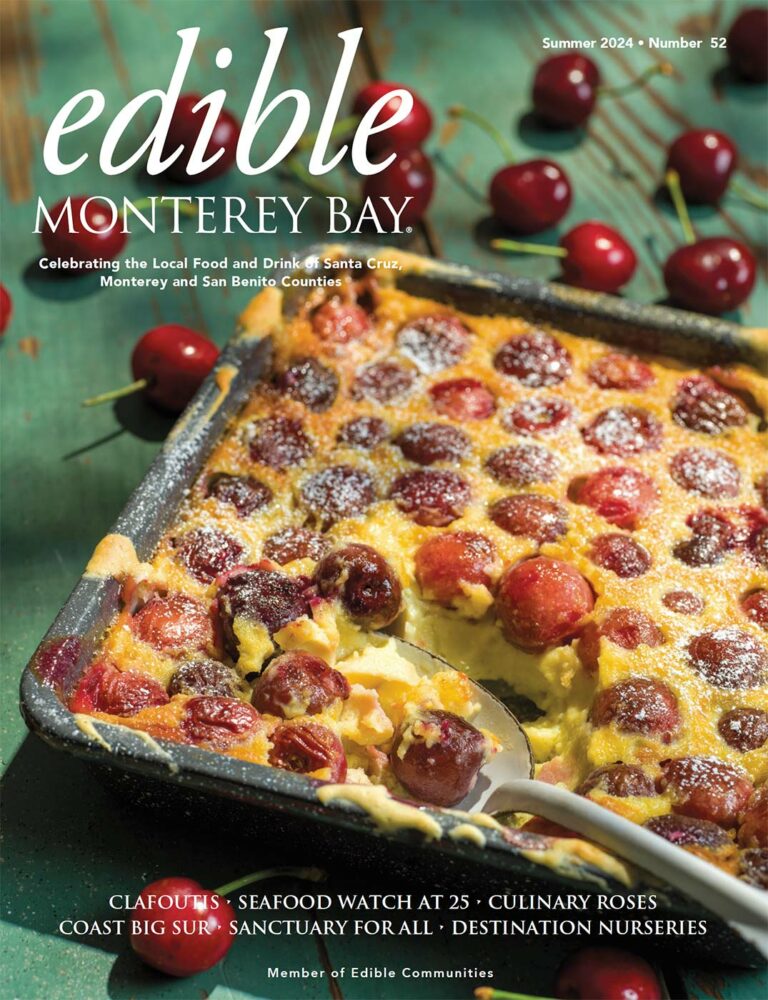 WINTER FORAGING: THE CULT OF THE WILD MUSHROOM - Edible Monterey Bay