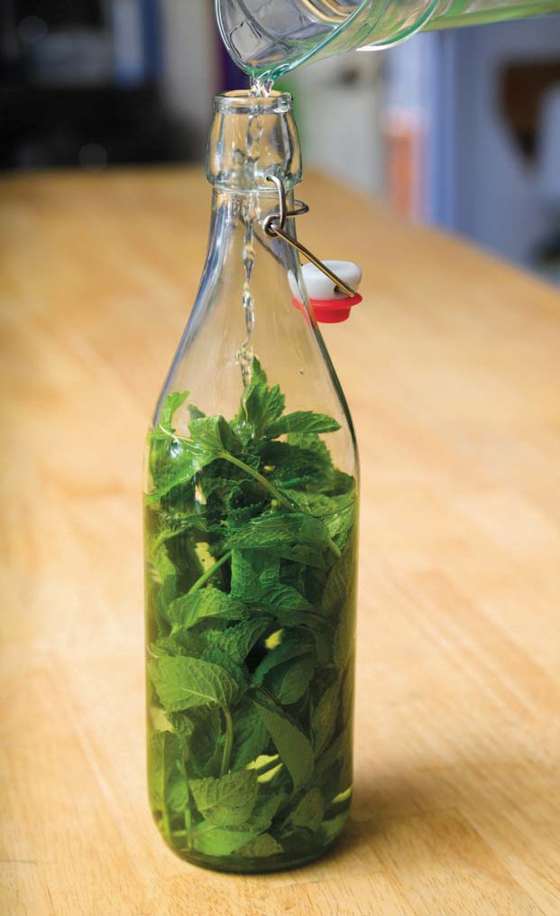 Recipes Archives - Edible Monterey Bay